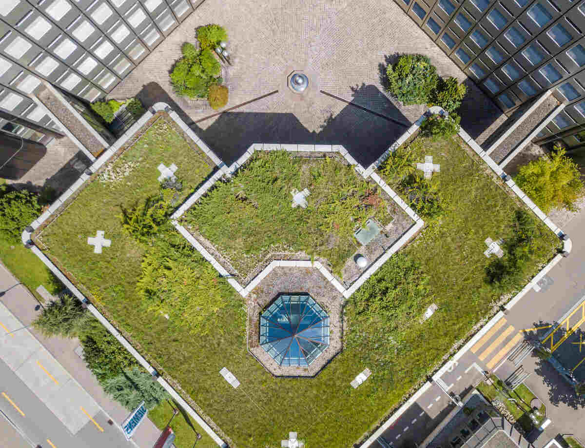 Green Roofs Around the Globe: Policies and Incentives of Various Countries
